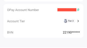 Check Your BVN on Opay: A Simple Step-by-Step Guide - Unleash